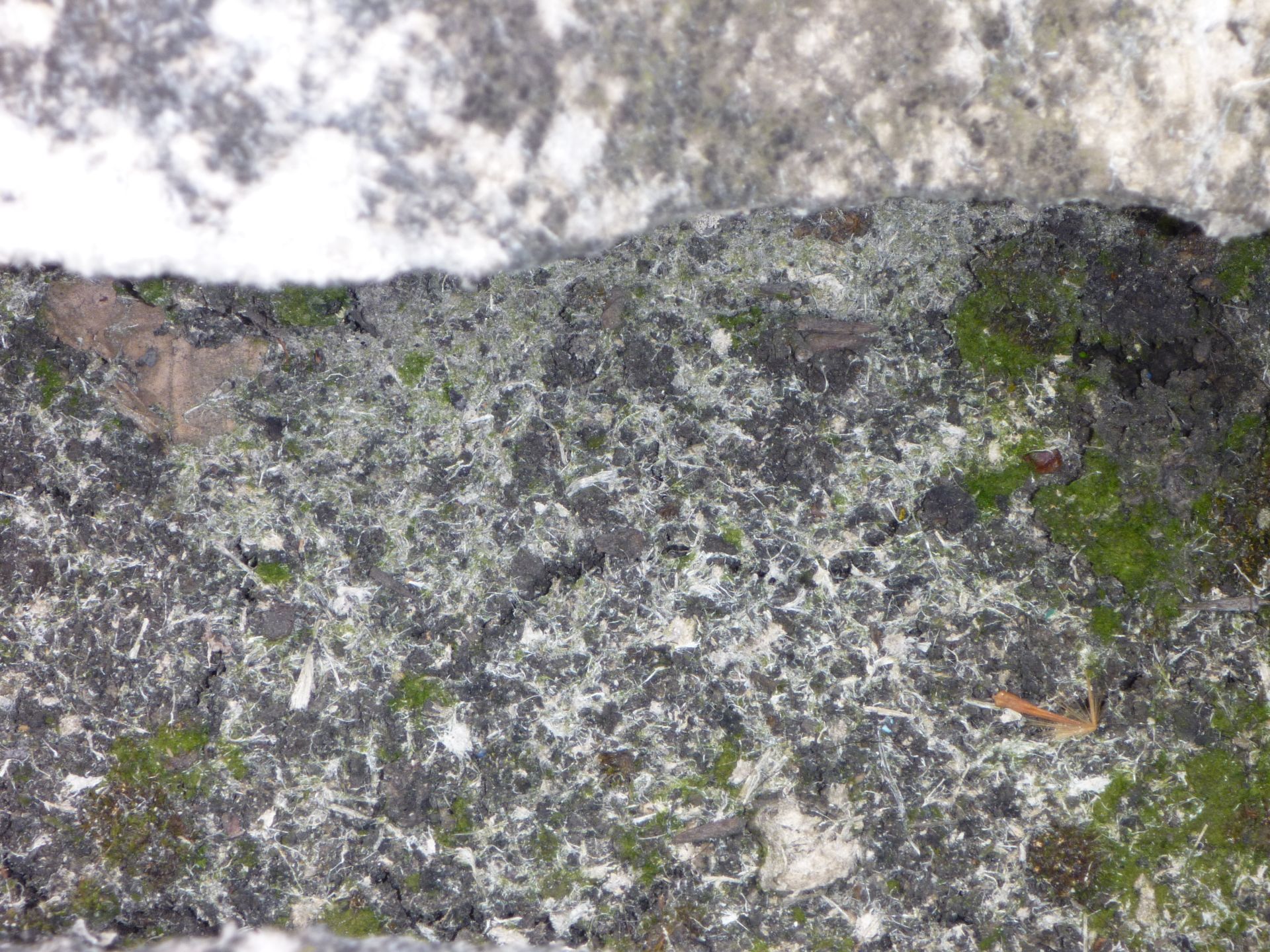 Pre-Demolition & Refurbishment Assessments » Prensa Pty Ltd